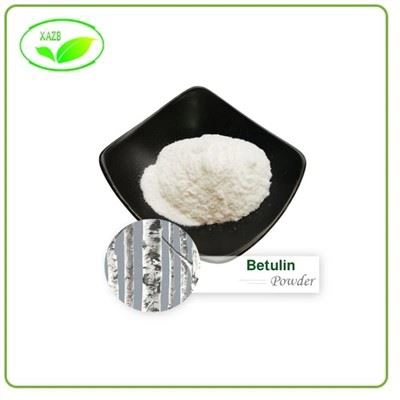 Betulin Powder Manufacturers Suppliers Factory - Wholesale in Bulk for ...